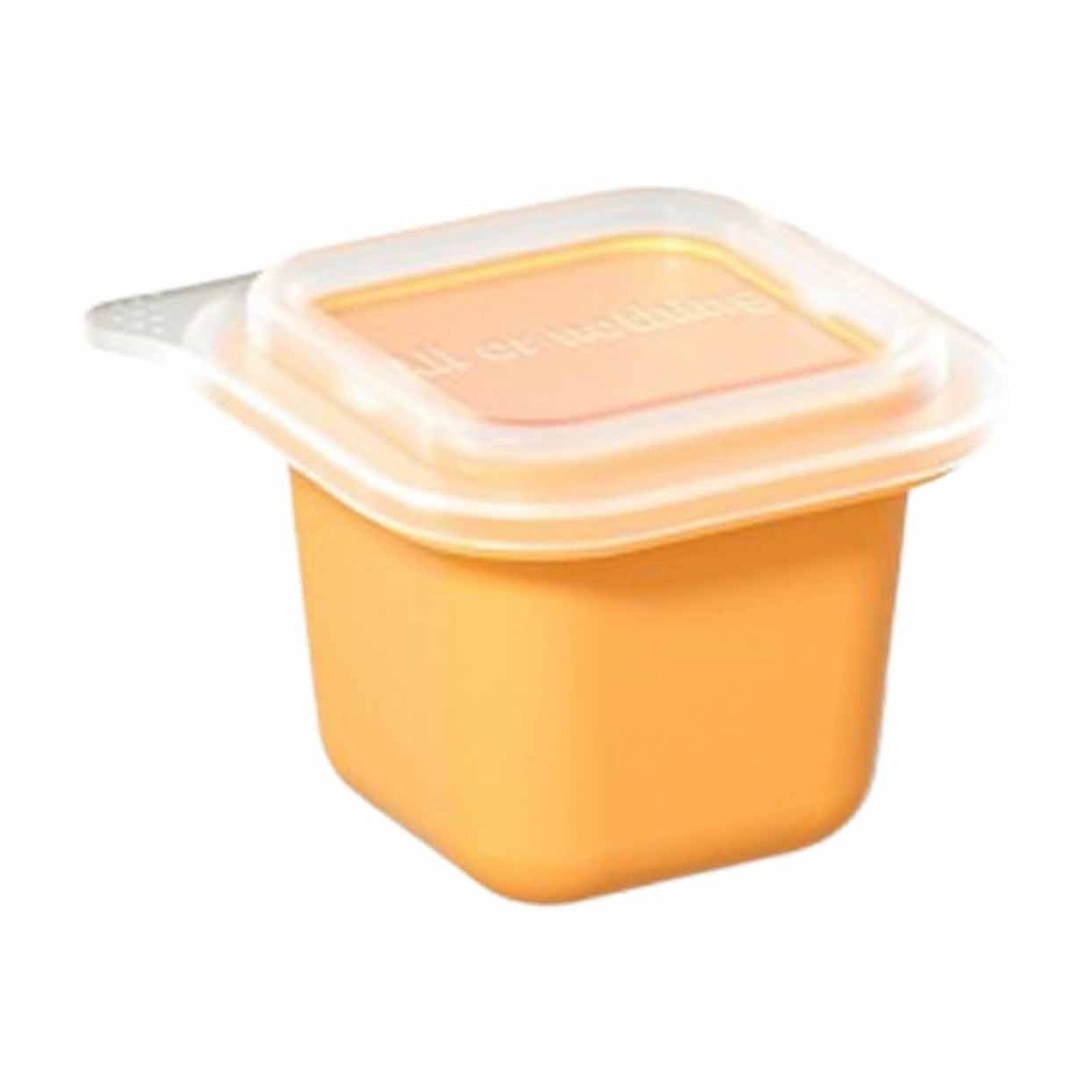 Mgaxud Food Grade Home Ice Box Small Individual Ice Storage Box, Three ...