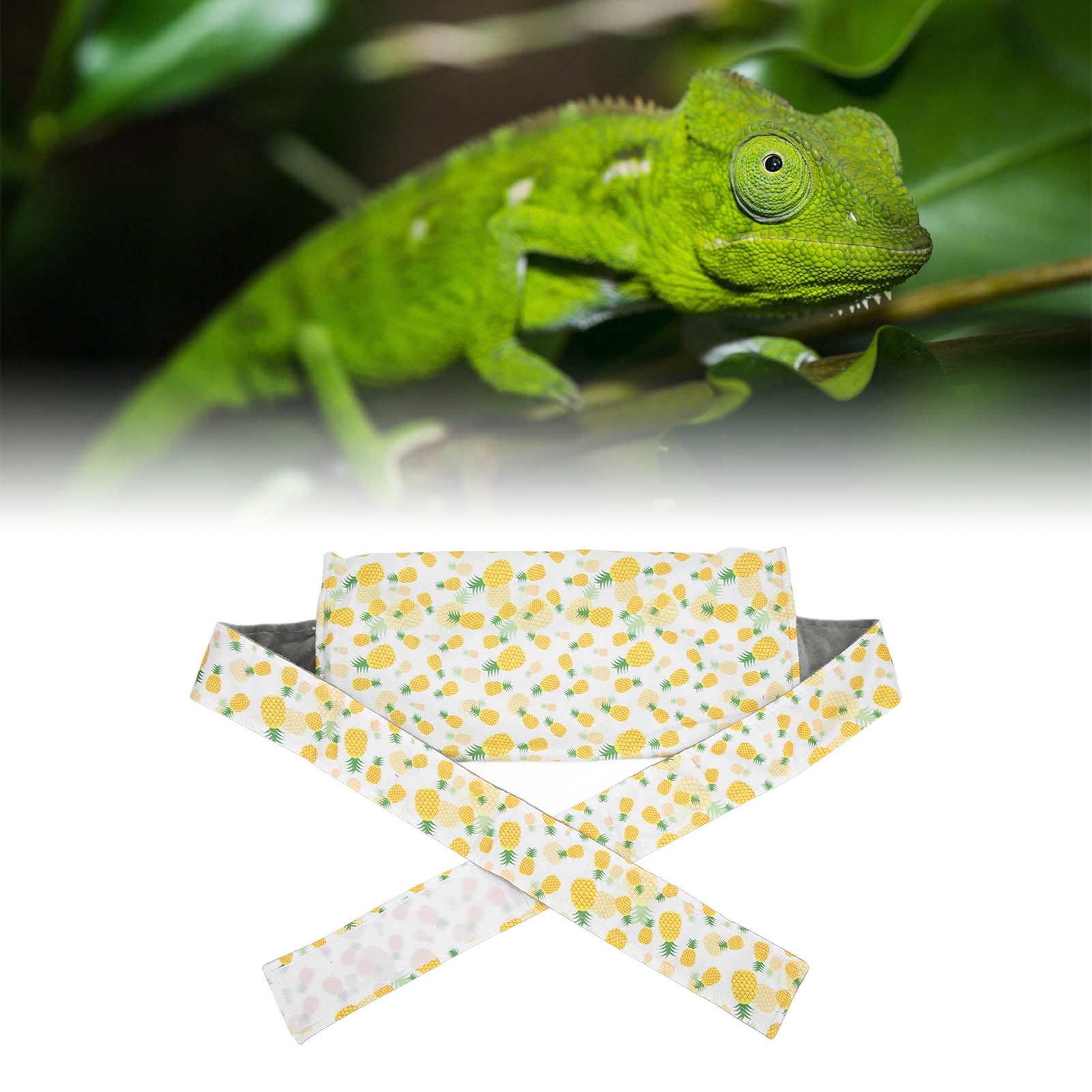 Mgaxyff Bearded Dragon Carrier, Reptile Sling Carrier, Breathable Small ...