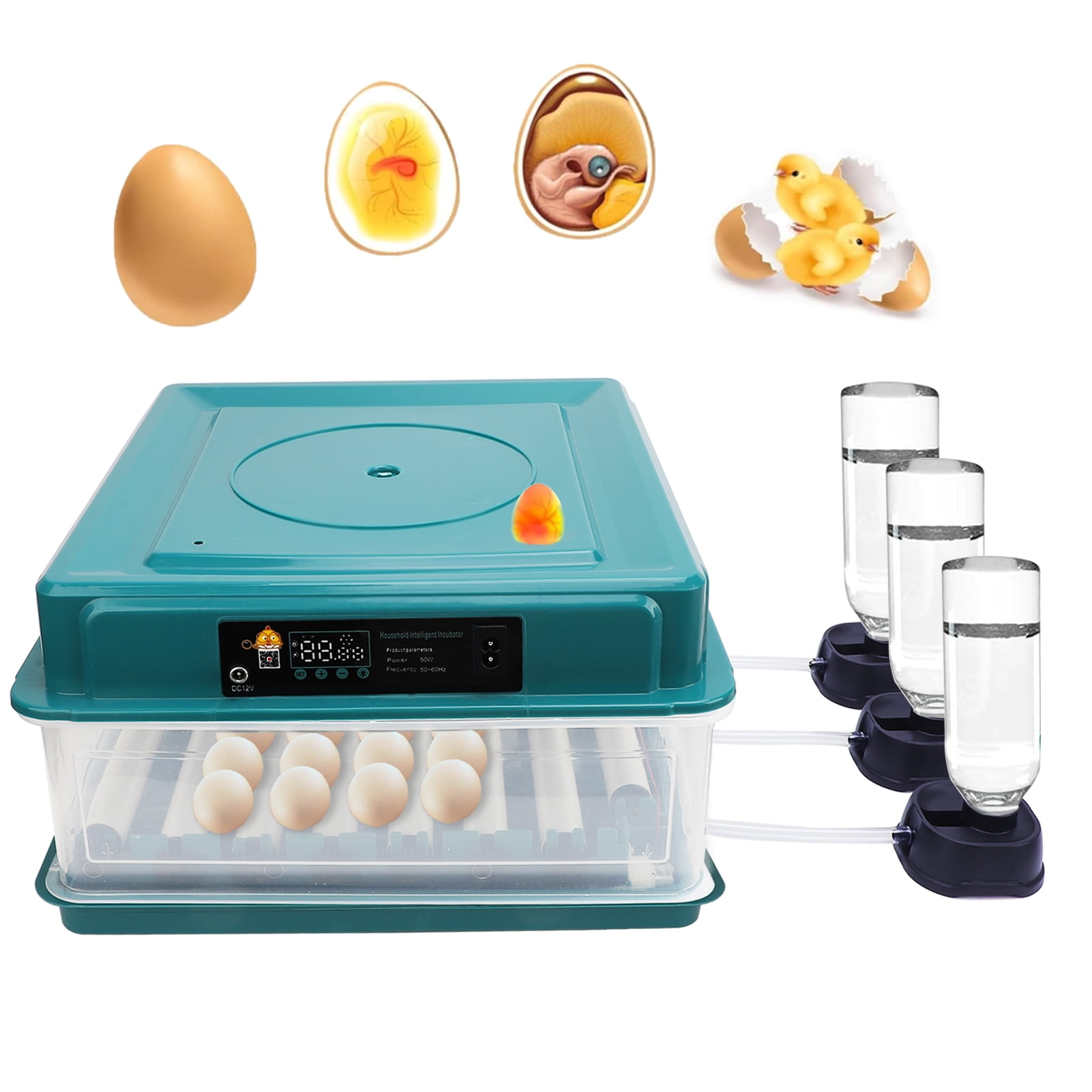 Mgaxyff Egg Incubator, 48-Egg, Auto Turning, Humidity Control, LED ...