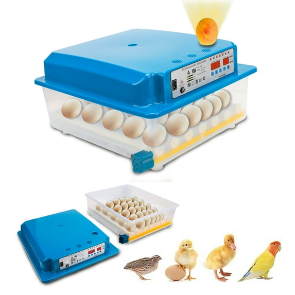 Mgaxyff 36 Egg Incubator, Auto Egg Turning, Humidity Monitoring, Light Control - Walmart.com