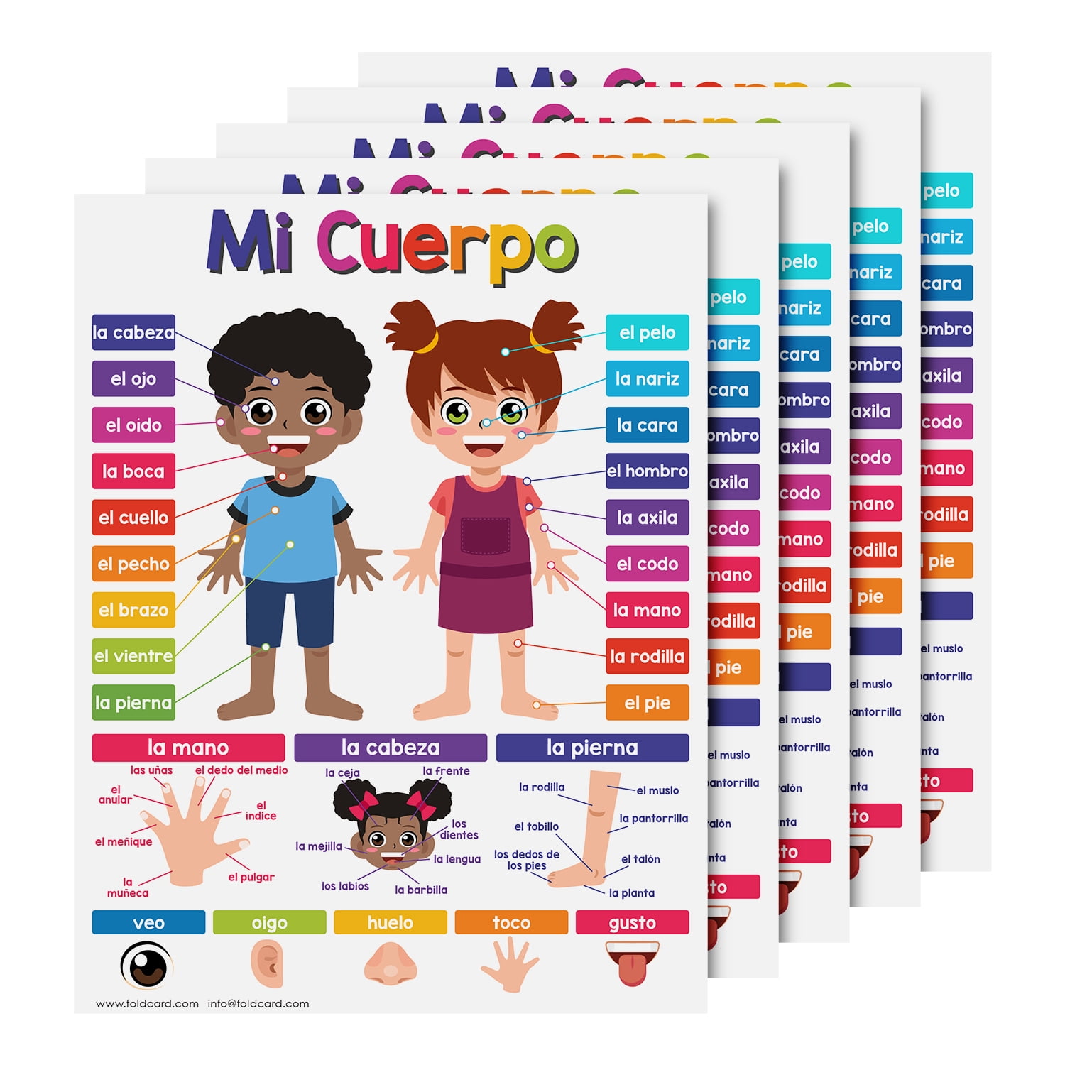 Mi Cuerpo Spanish Educational Posters for Kids – The Human Body ...