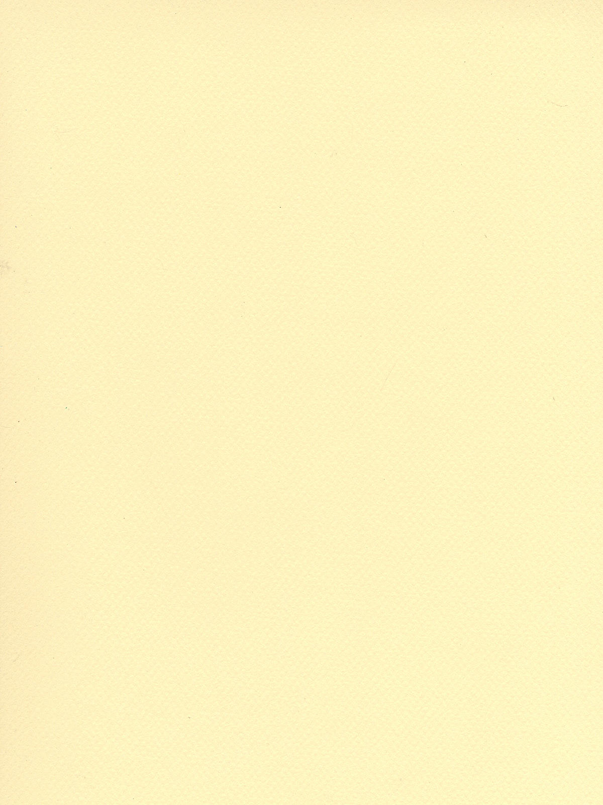 Mi-Teintes Tinted Paper pale yellow, 19 in. x 25 in. (pack of 10 ...