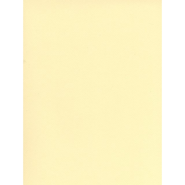 Mi-Teintes Tinted Paper pale yellow, 19 in. x 25 in. (pack of 10 ...