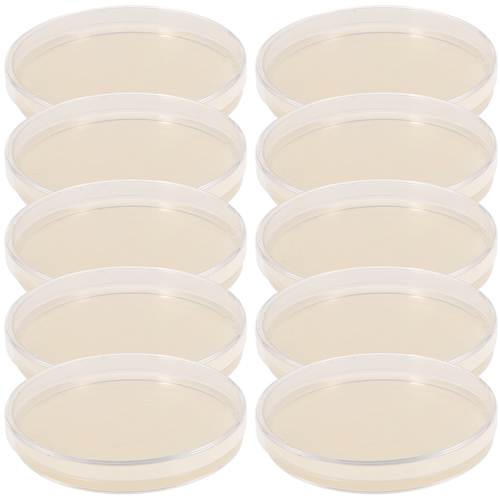 Miangastore 10pcs Agar Plates Science Petri Dish Nutrient Kit with Agar ...
