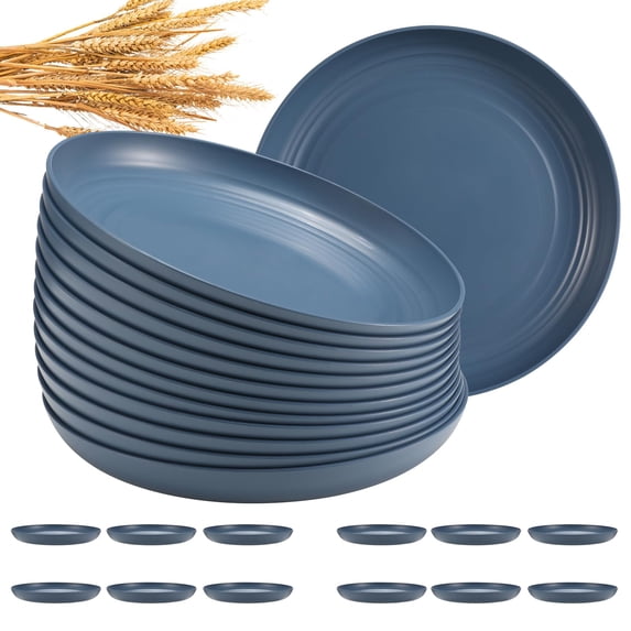 Miaocao 12 Pcs Unbreakable Deep Dinner Plates Set, 10 inch Reusable ...