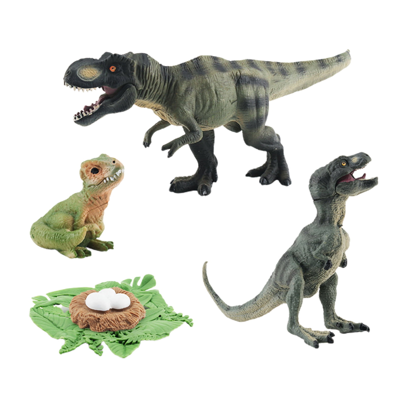 Miarnea 4-Stage Dinosaur Life Cycle Board: High Simulation Handmade ...