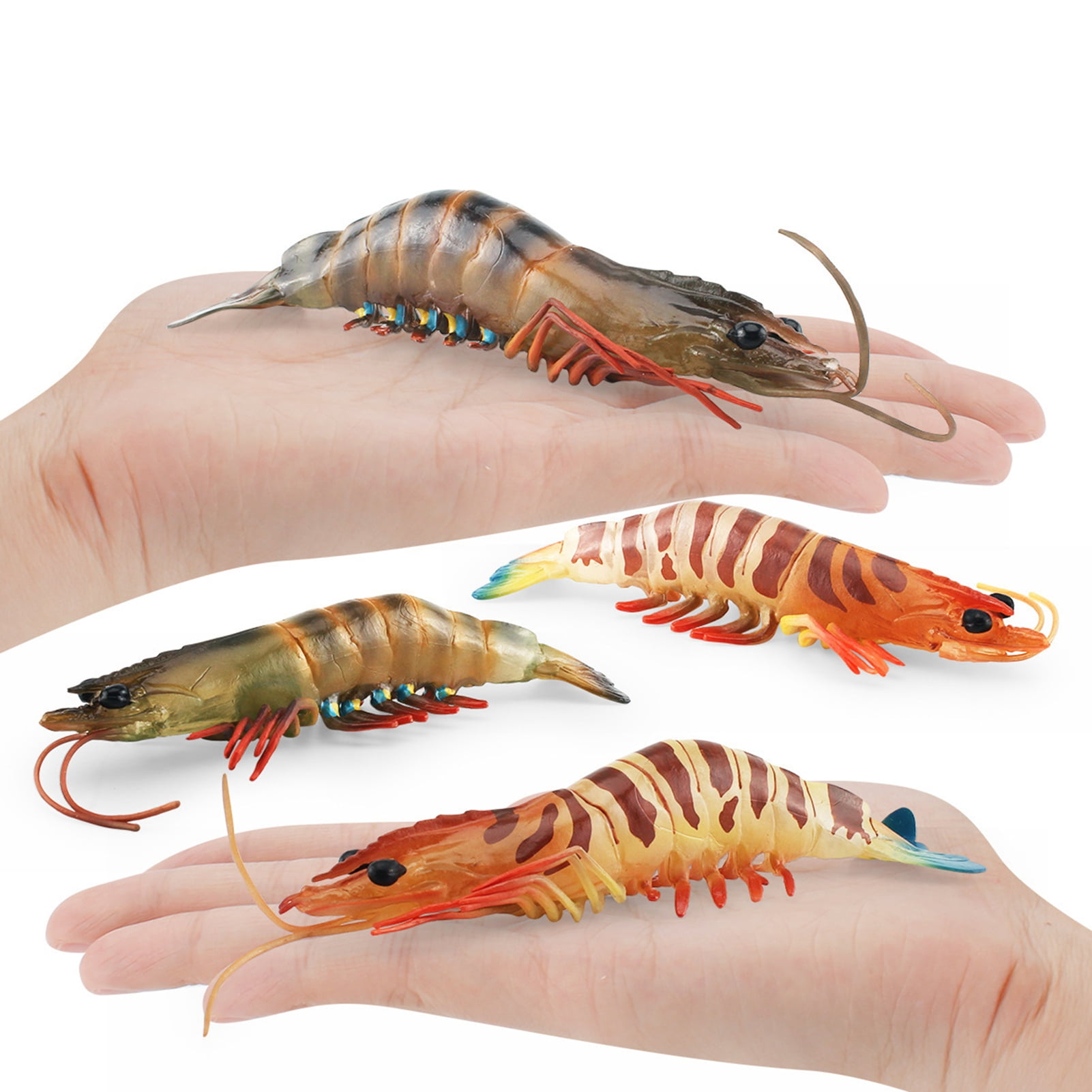 Miarnea Shrimp Statue Model: Appreciate the Beauty of Sea Life with ...