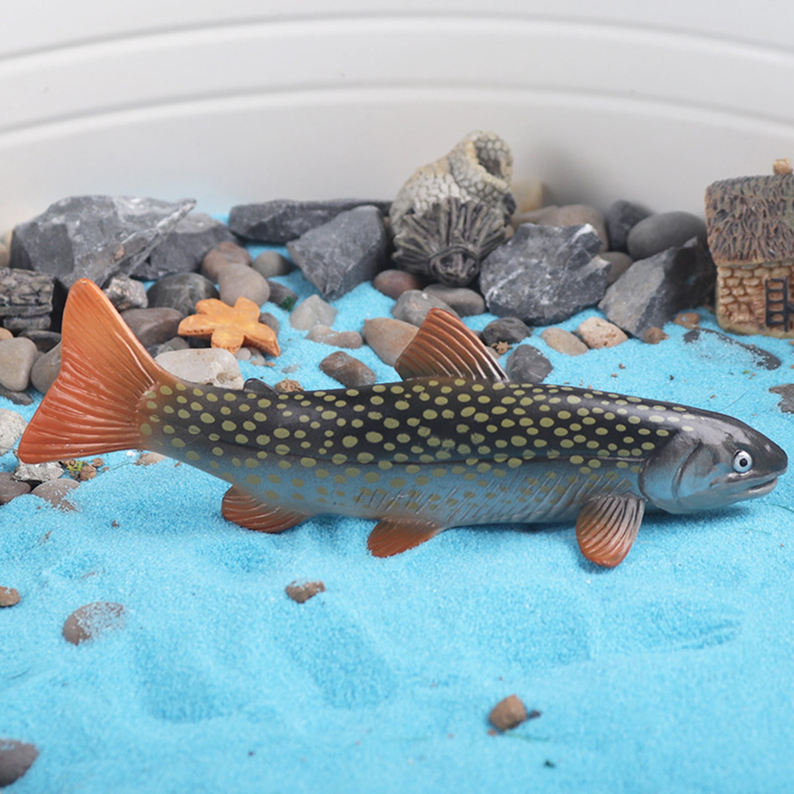 Miarnea Tropical Fish Model: Realistic Oncorhynchus Boxfish, Clown ...