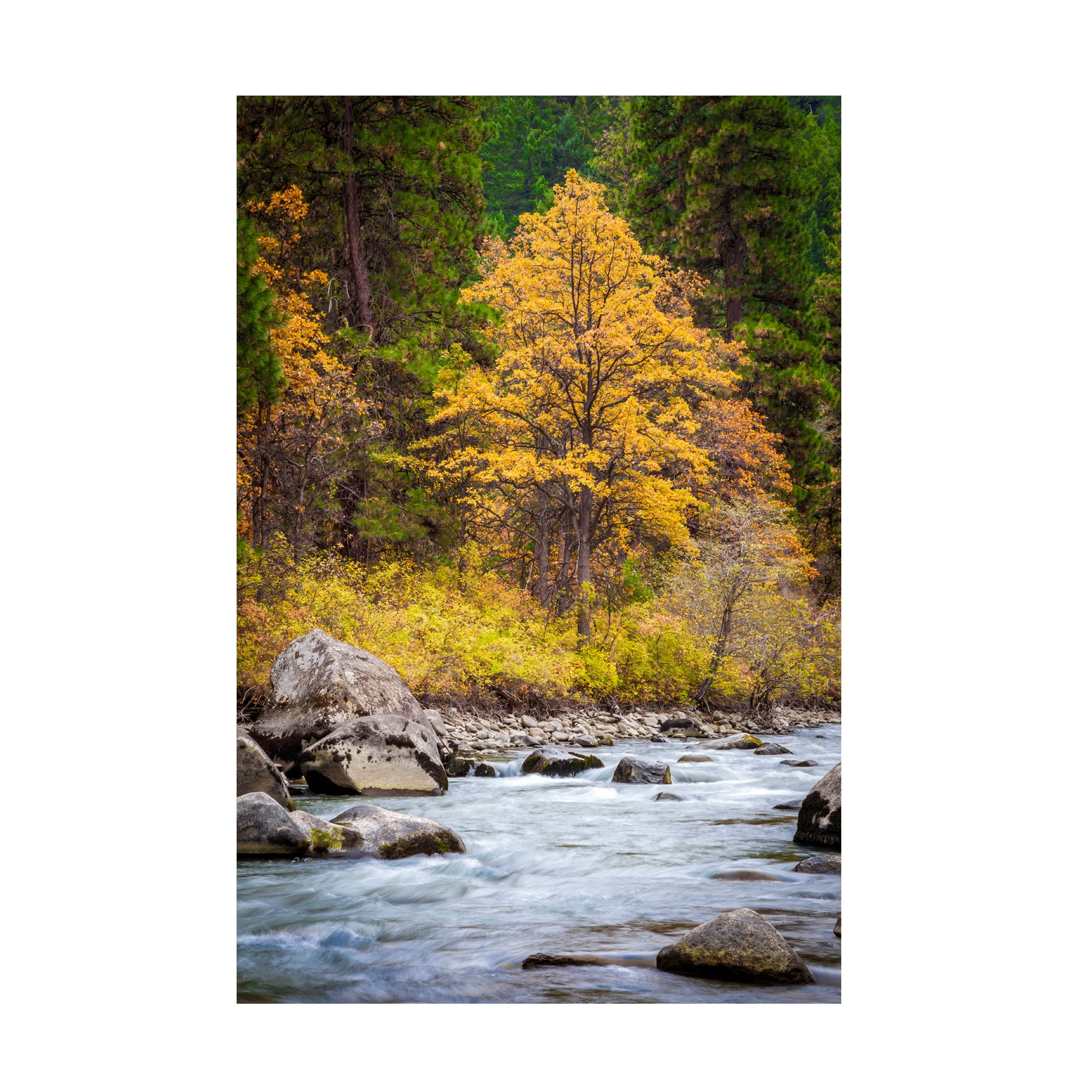 Michael Broom 'Autumn Across The River' Canvas Art - Walmart.com