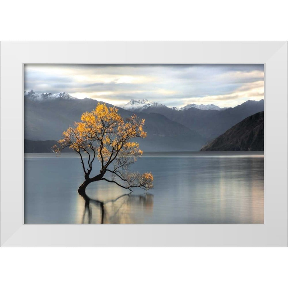 Michael Cahill 32x23 White Modern Wood Framed Museum Art Print Titled ...