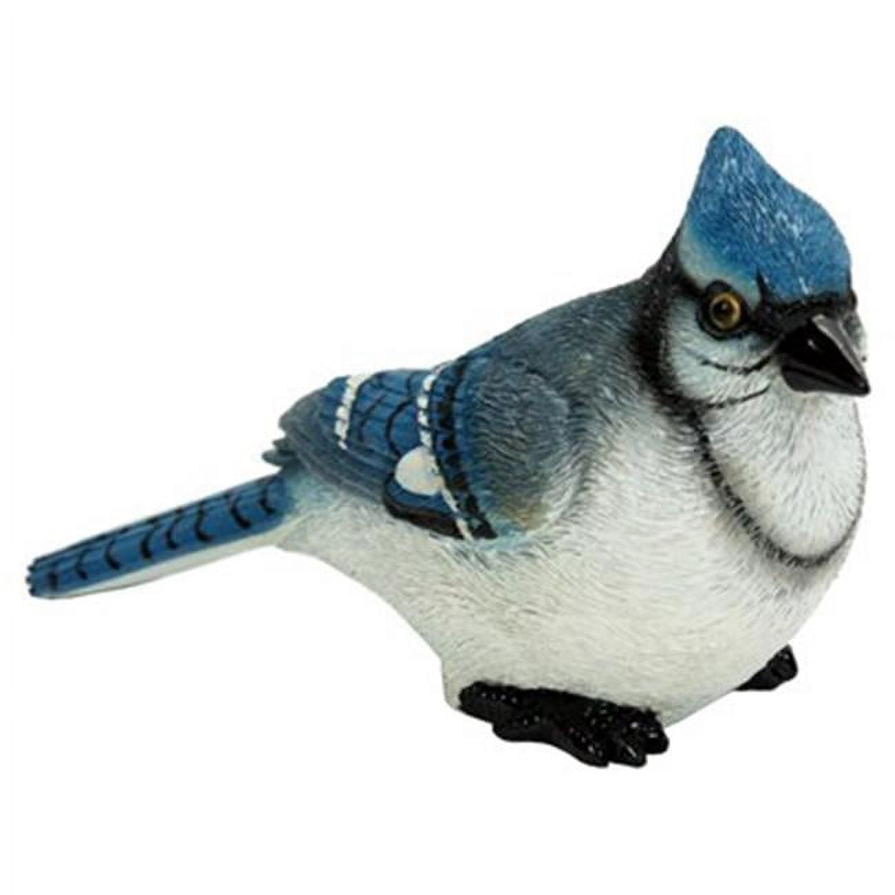 Michael Carr Design Small Full Color Blue Jay - Walmart.com