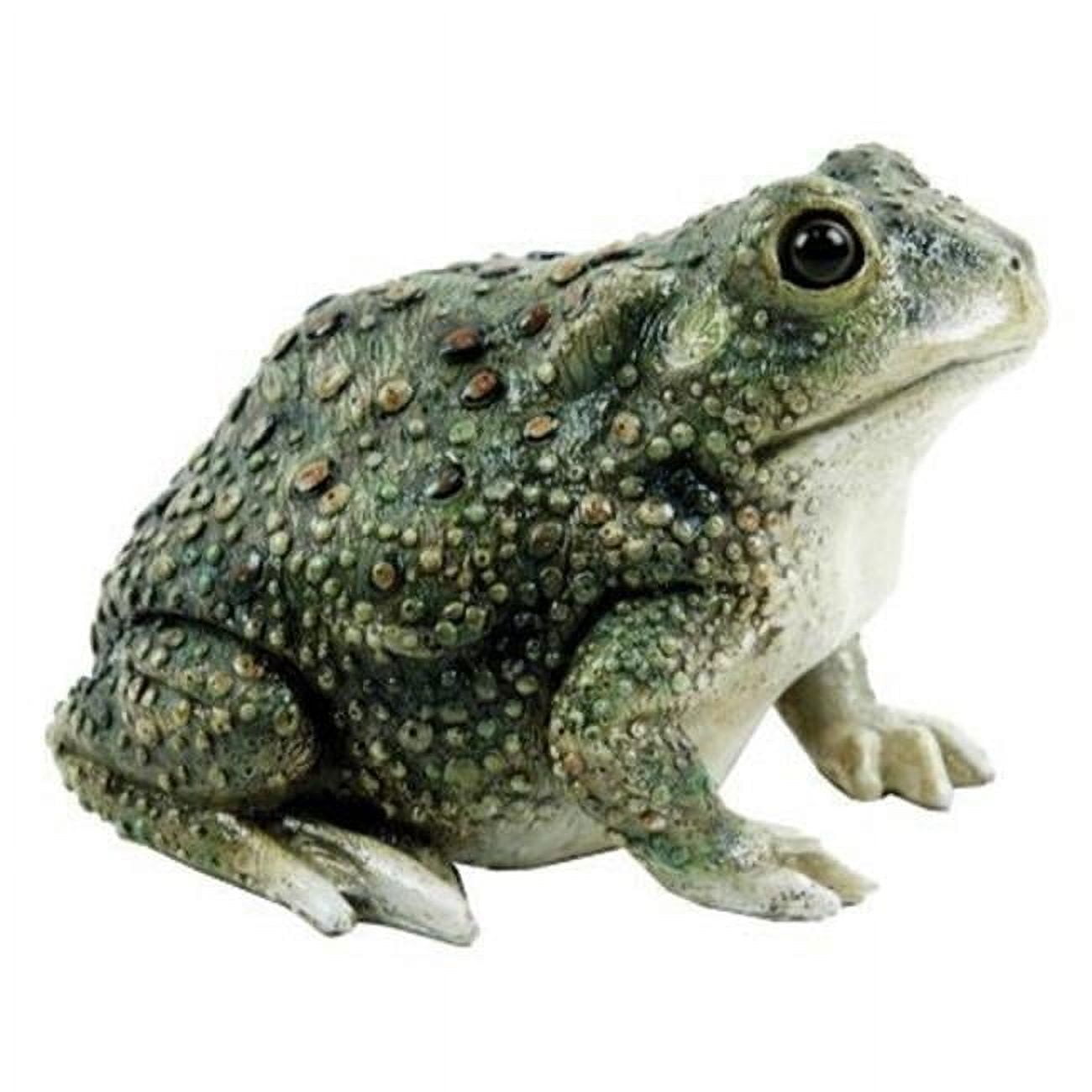 Michael Carr Texas Toad - Walmart.com