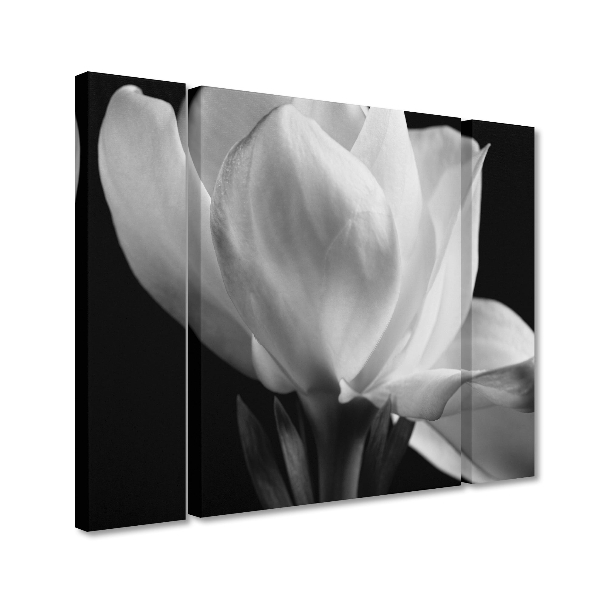 Michael Harrison 'Gardenia' Multi Panel Art Set Large - Walmart.com