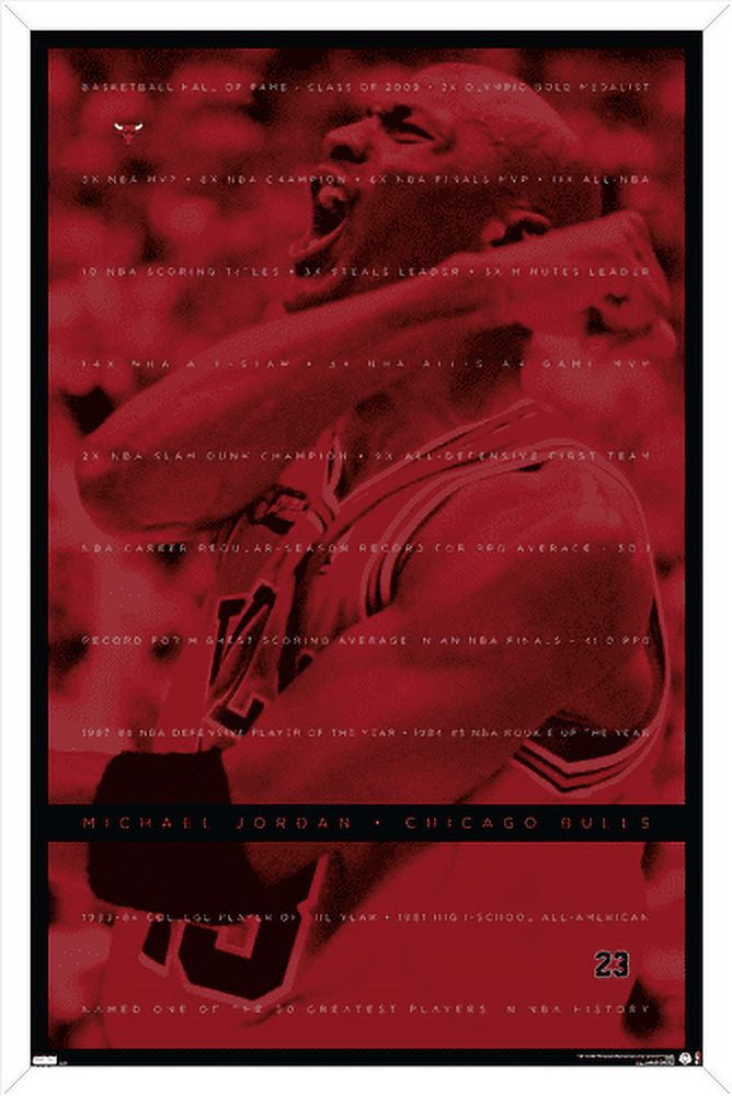 Michael Jordan - Achievements Wall Poster, 14.725" x 22.375", Framed ...