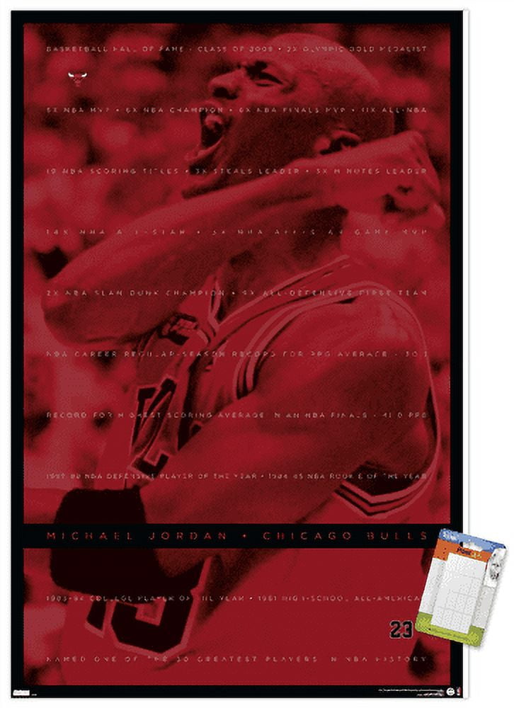 Michael Jordan - Achievements Wall Poster, 14.725" x 22.375" - Walmart.com
