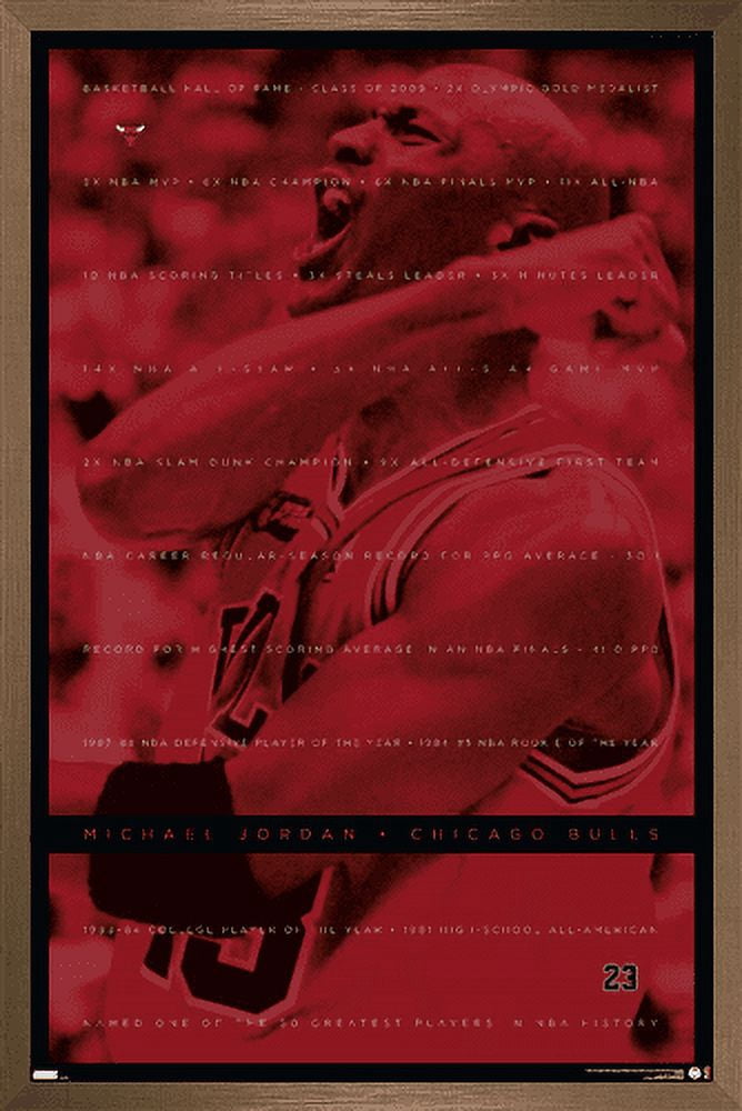 Michael Jordan - Achievements Wall Poster, 22.375" x 34", Framed ...