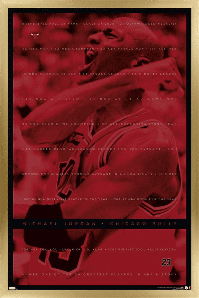 Michael Jordan - Achievements Wall Poster, 22.375" x 34", Framed ...