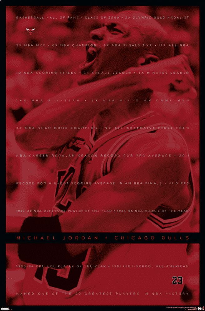 Michael Jordan - Achievements Wall Poster, 22.375" x 34" - Walmart.com