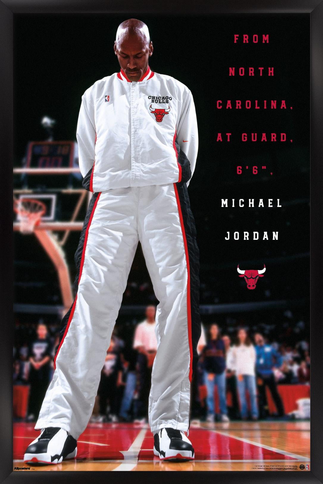 Michael Jordan - Chicago Bulls Introduction Wall Poster, 14.725" x 22. ...