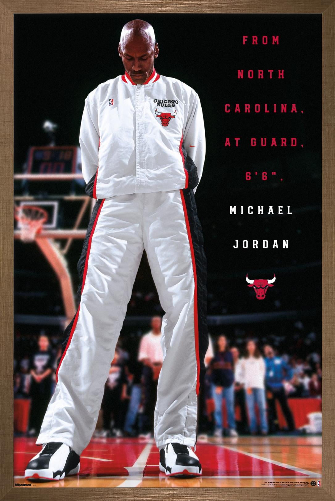 Michael Jordan - Chicago Bulls Introduction Wall Poster, 22.375" x 34 ...