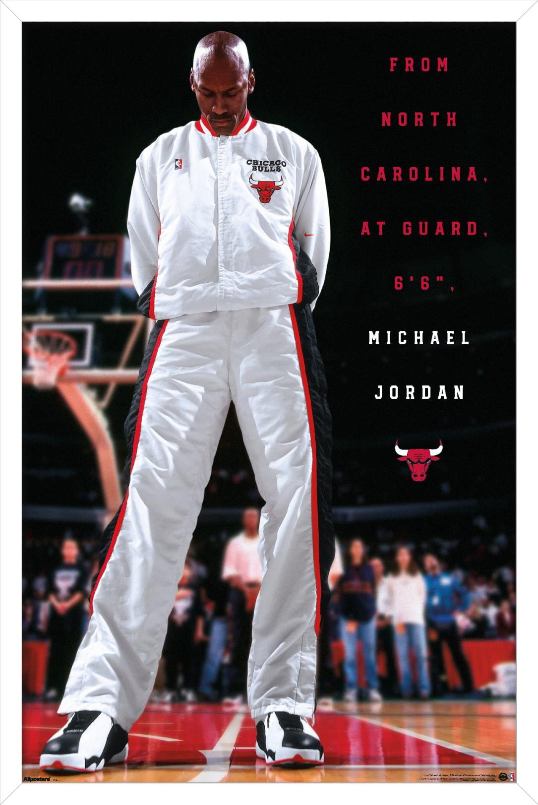 Michael Jordan - Chicago Bulls Introduction Wall Poster, 22.375" x 34 ...