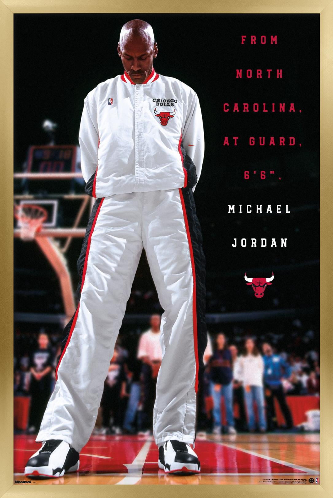 Michael Jordan - Chicago Bulls Introduction Wall Poster, 22.375" x 34 ...