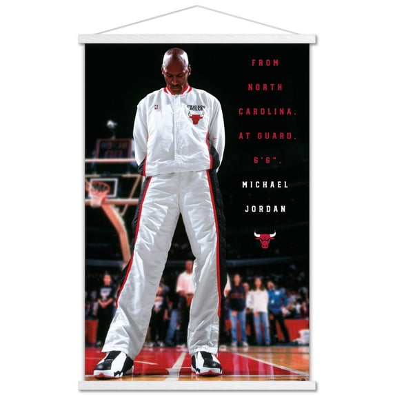 Michael Jordan - Chicago Bulls Introduction Wall Poster with Magnetic ...