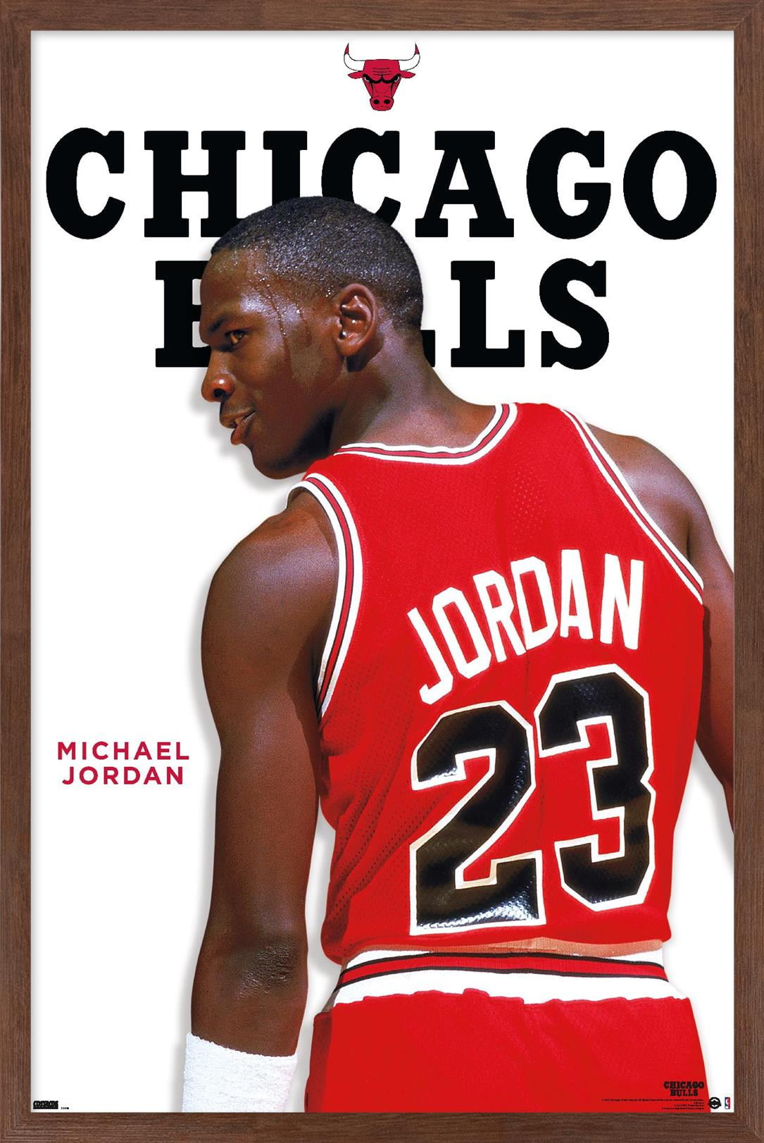 Michael Jordan - Feature Series Wall Poster, 14.725" x 22.375" Framed ...