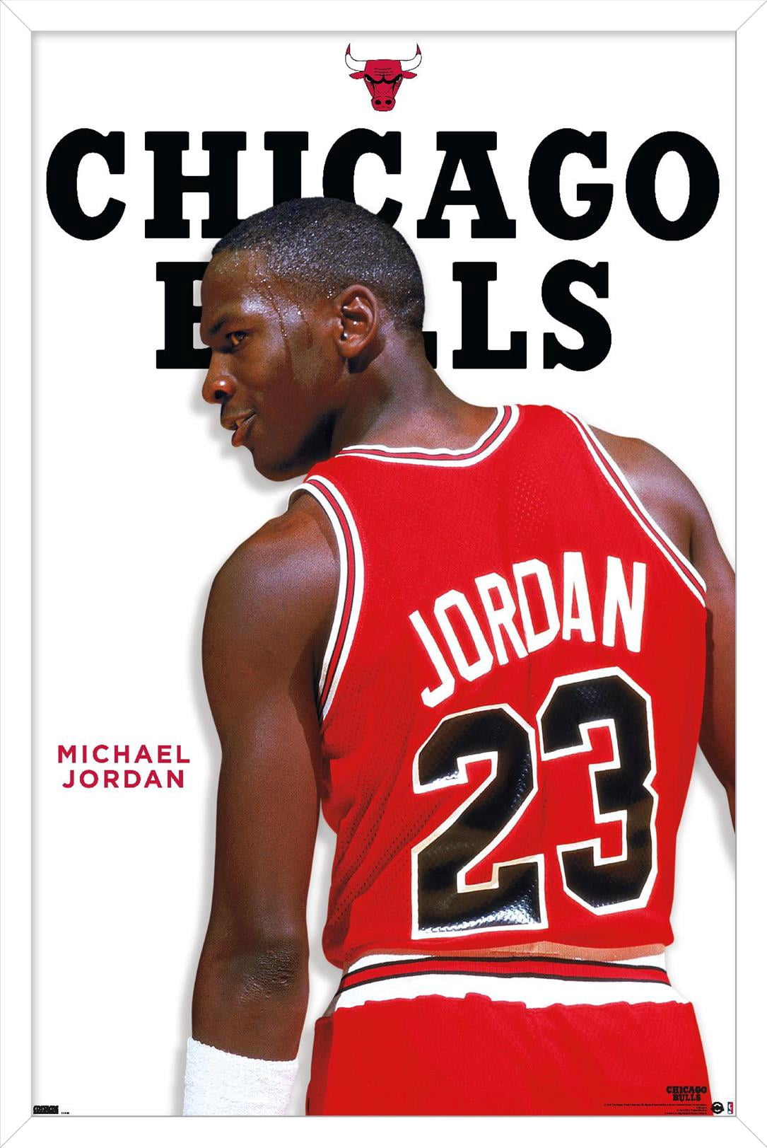 Michael Jordan - Feature Series Wall Poster, 14.725" x 22.375" Framed ...