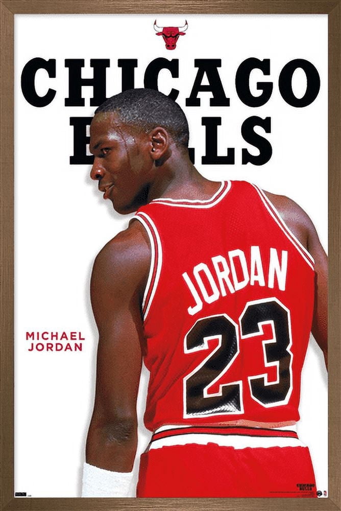 Michael Jordan - Feature Series Wall Poster, 22.375" x 34" Framed ...