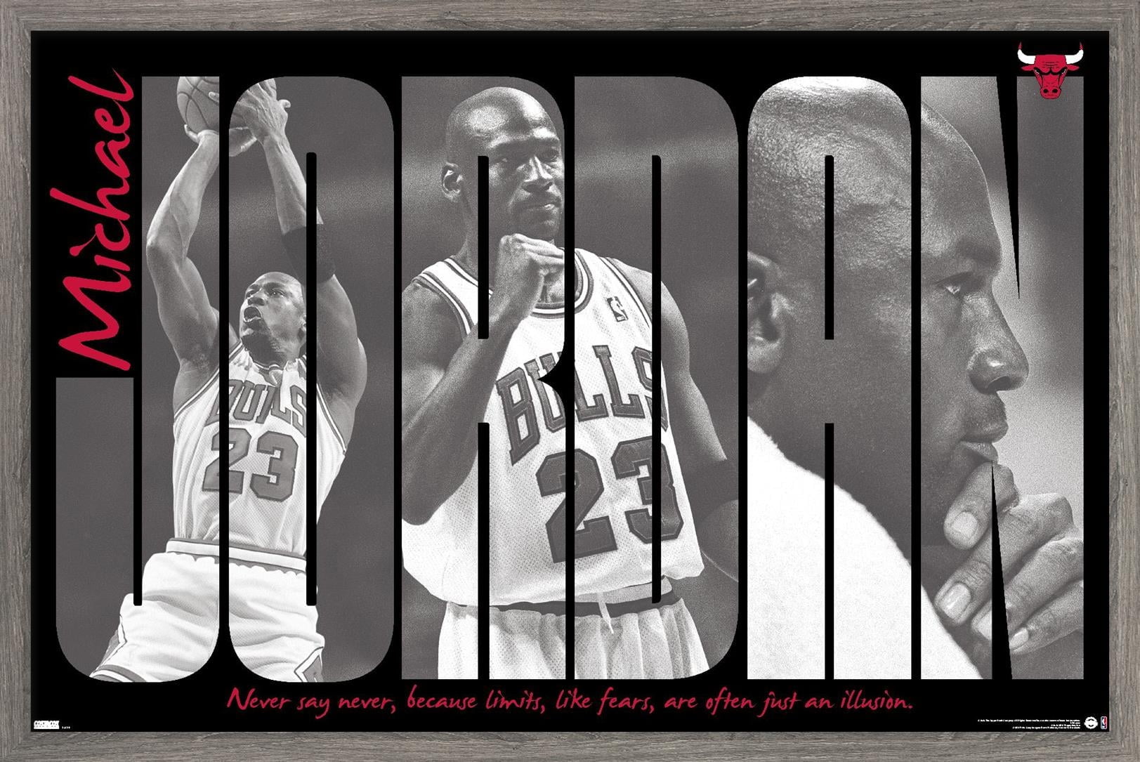 Michael Jordan - Never Say Never Wall Poster, 14.725" x 22.375" Framed ...