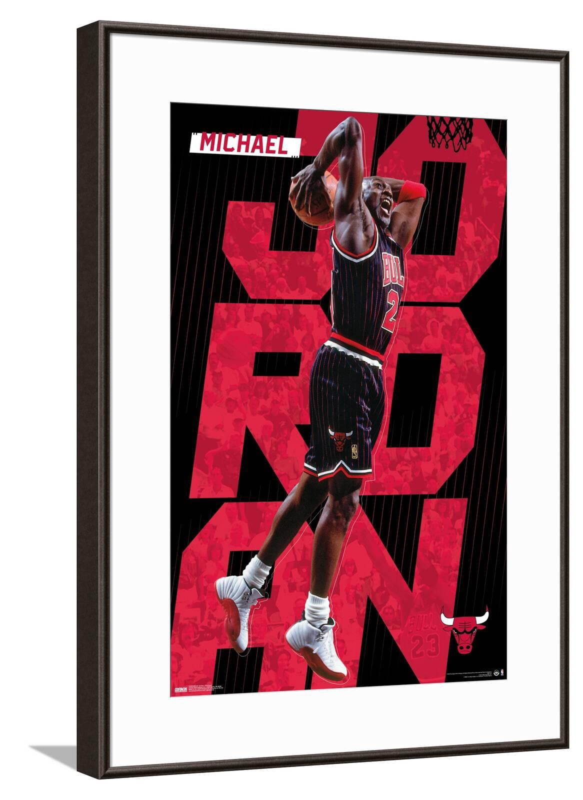 Michael Jordan - Pinstripes Canvas Wall Poster, 14.725" x 22.375 ...