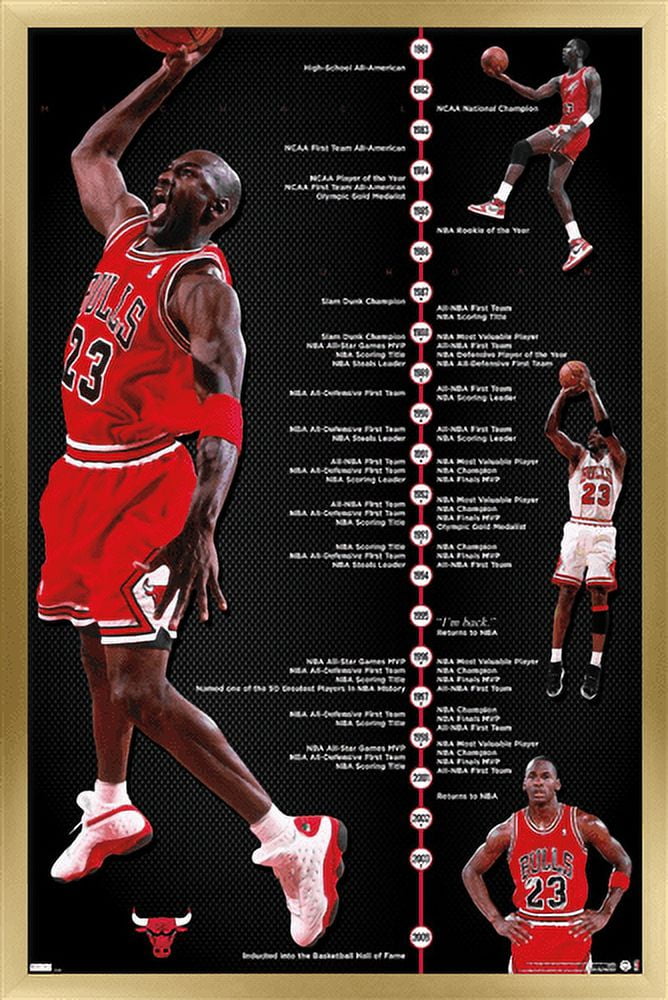 Michael Jordan - Timeline - Walmart.com