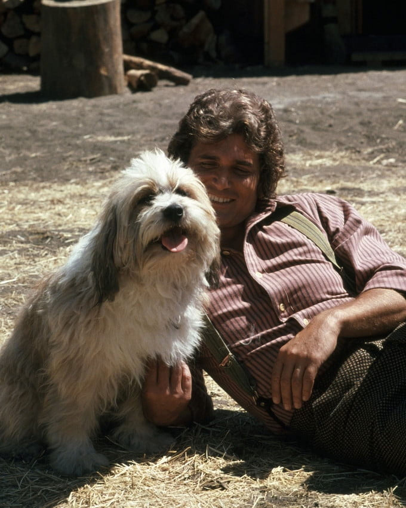 Michael Landon In Little House On The Prairie Posing With Jack The Dog ...