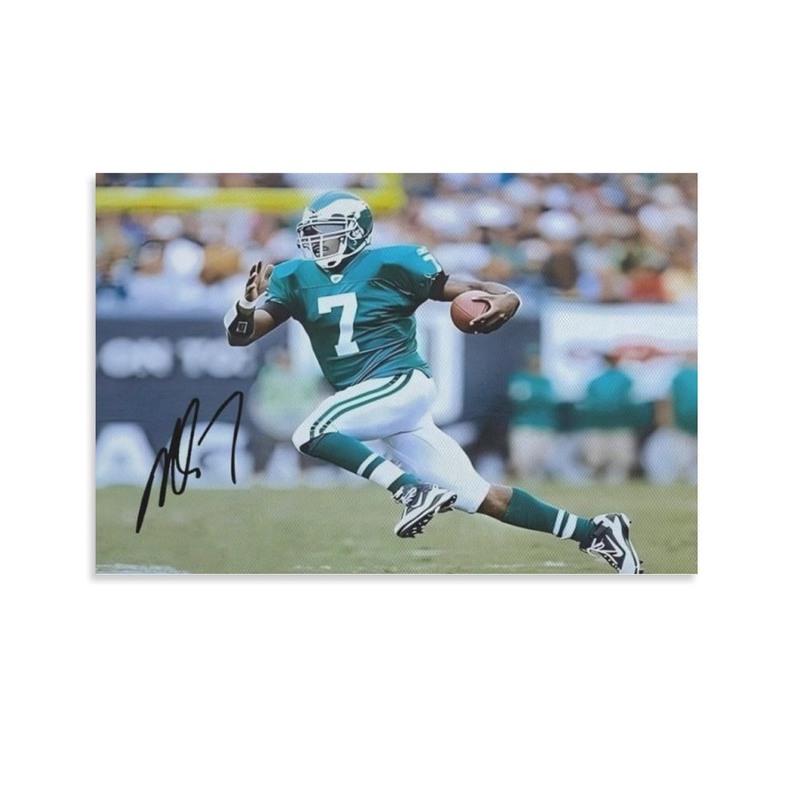 Michael Vick Canvas Poster Picture Print Canvas Poster Wall Paint Art ...