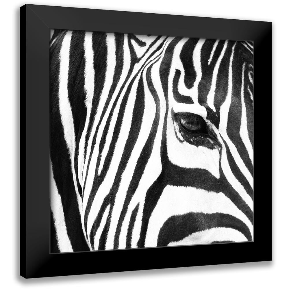 Michal, Susan 20x20 Black Modern Framed Museum Art Print Titled - Zebra ...
