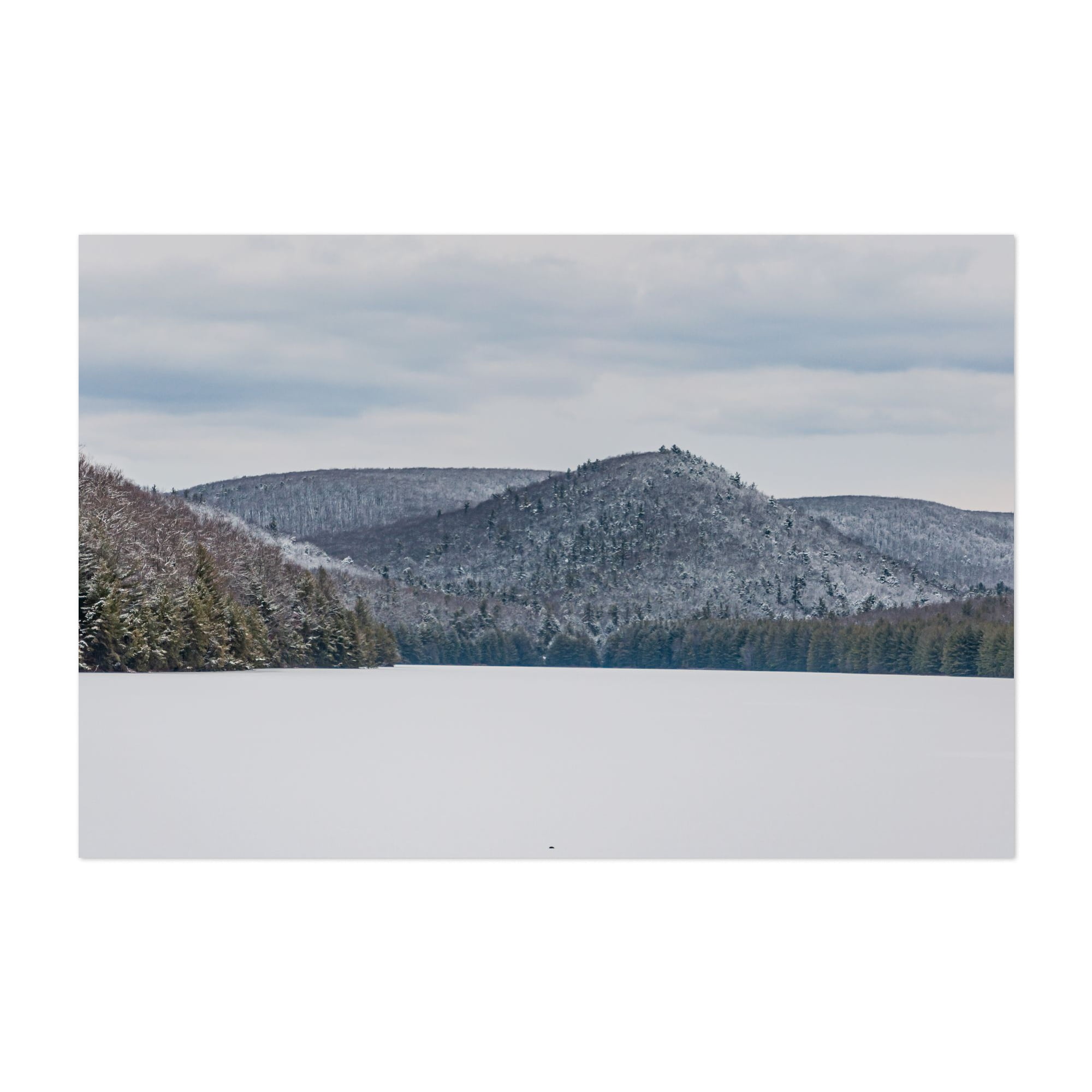Michaux State Park on a Cold Winter Day - Fayetteville Pennsylvania ...