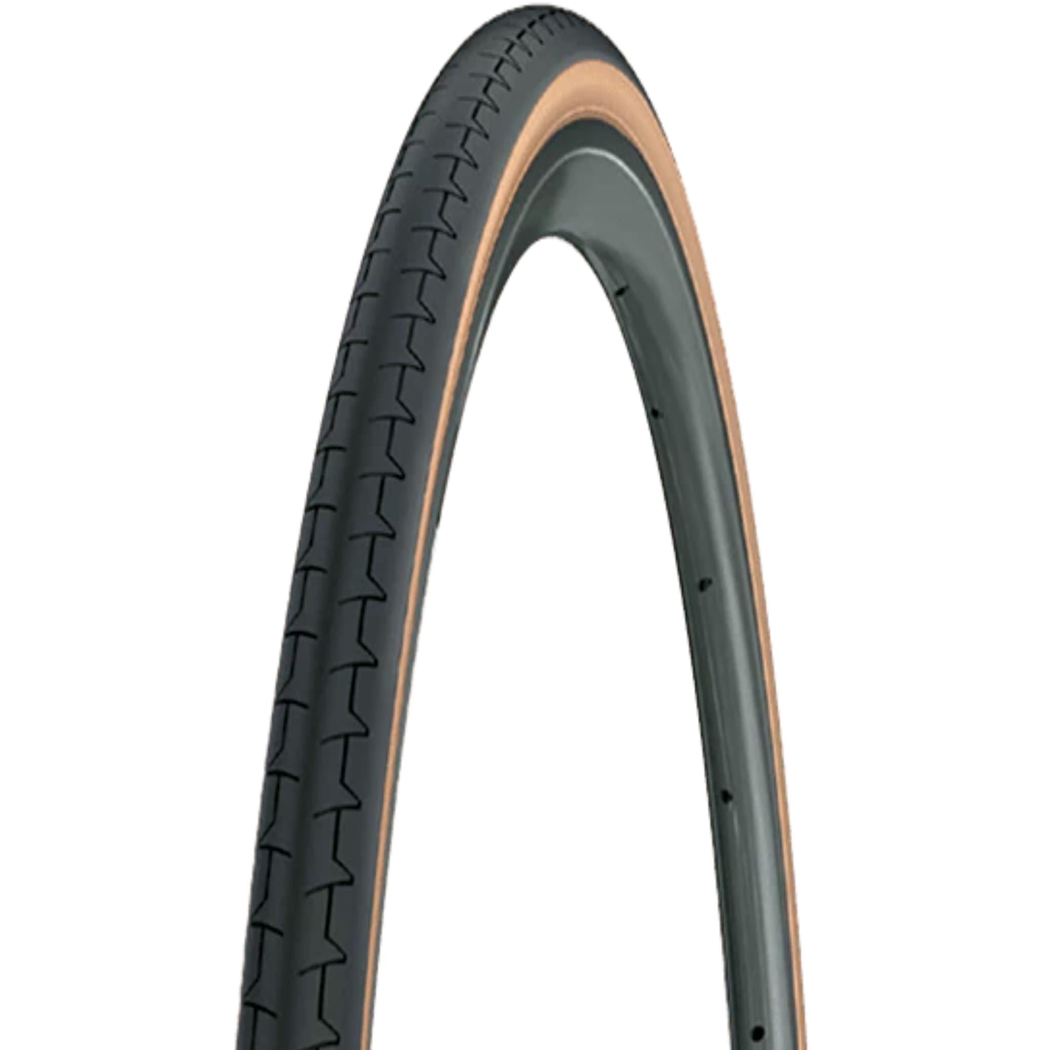 Michelin Dynamic Classic Tire, 700x28C, Folding, Clincher, Single ...