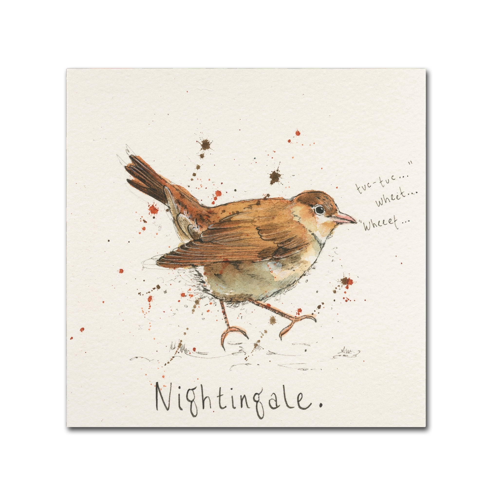 Michelle Campbell 'Nightingale' Canvas Art - Walmart.com