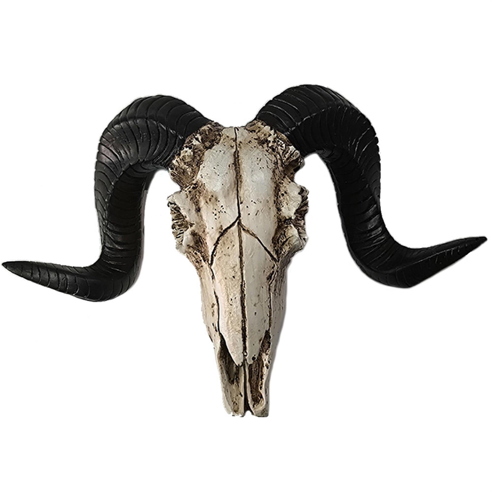 Michellecmm Animal Wall Art Modern Skeleton Sheep Head Sculptures ...