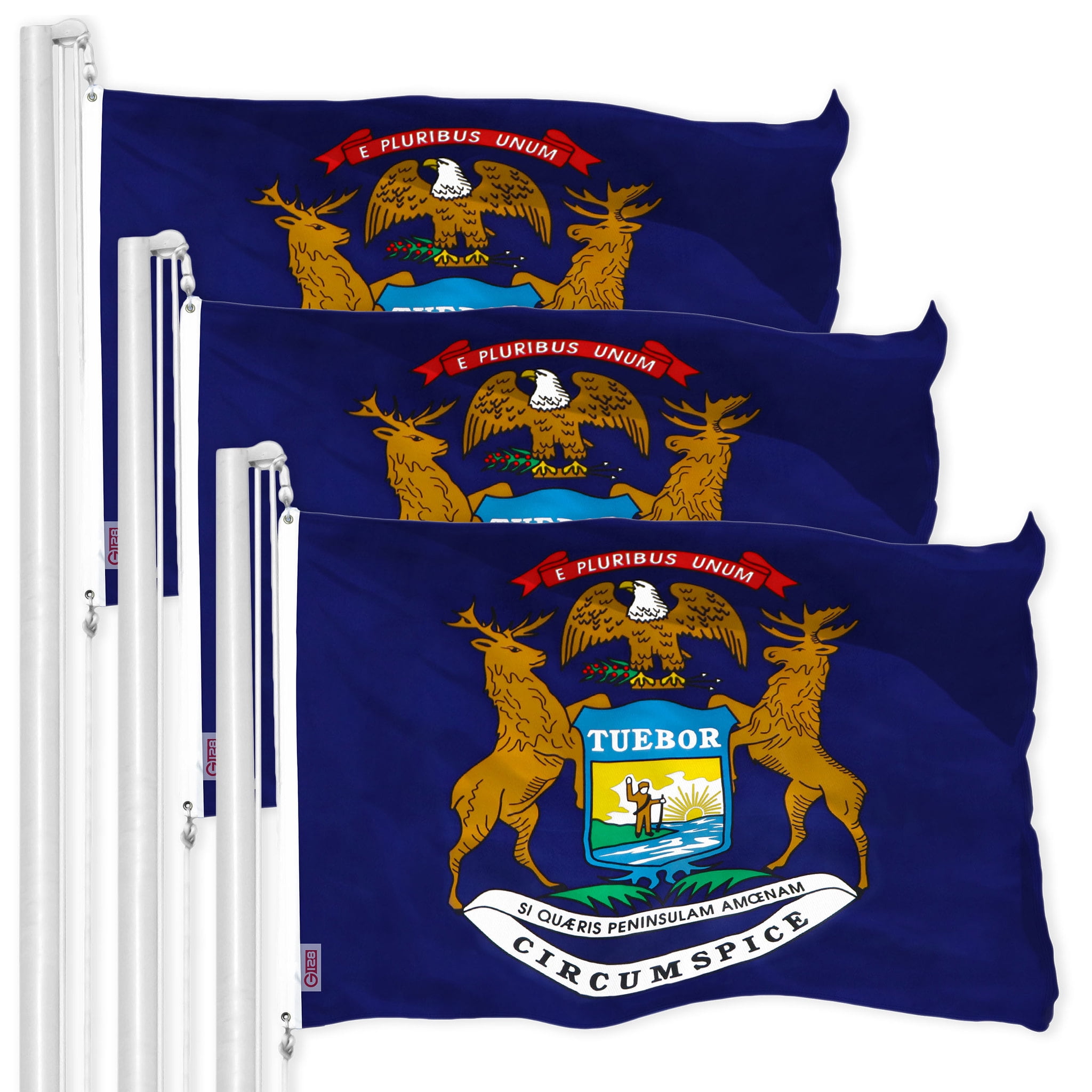 Michigan MI State Flag 3x5FT 3-Pack 150D Printed Polyester By G128 ...