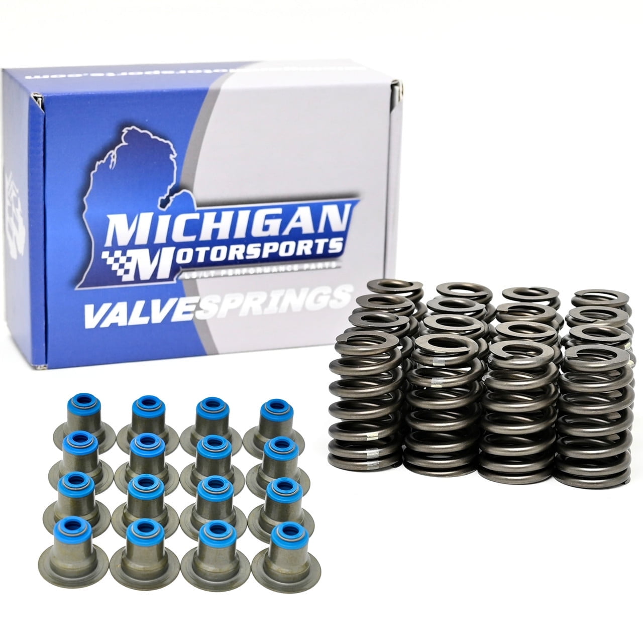 Michigan Motorsports Beehive .550 Truck Valve Springs and Seals Fits 4. ...