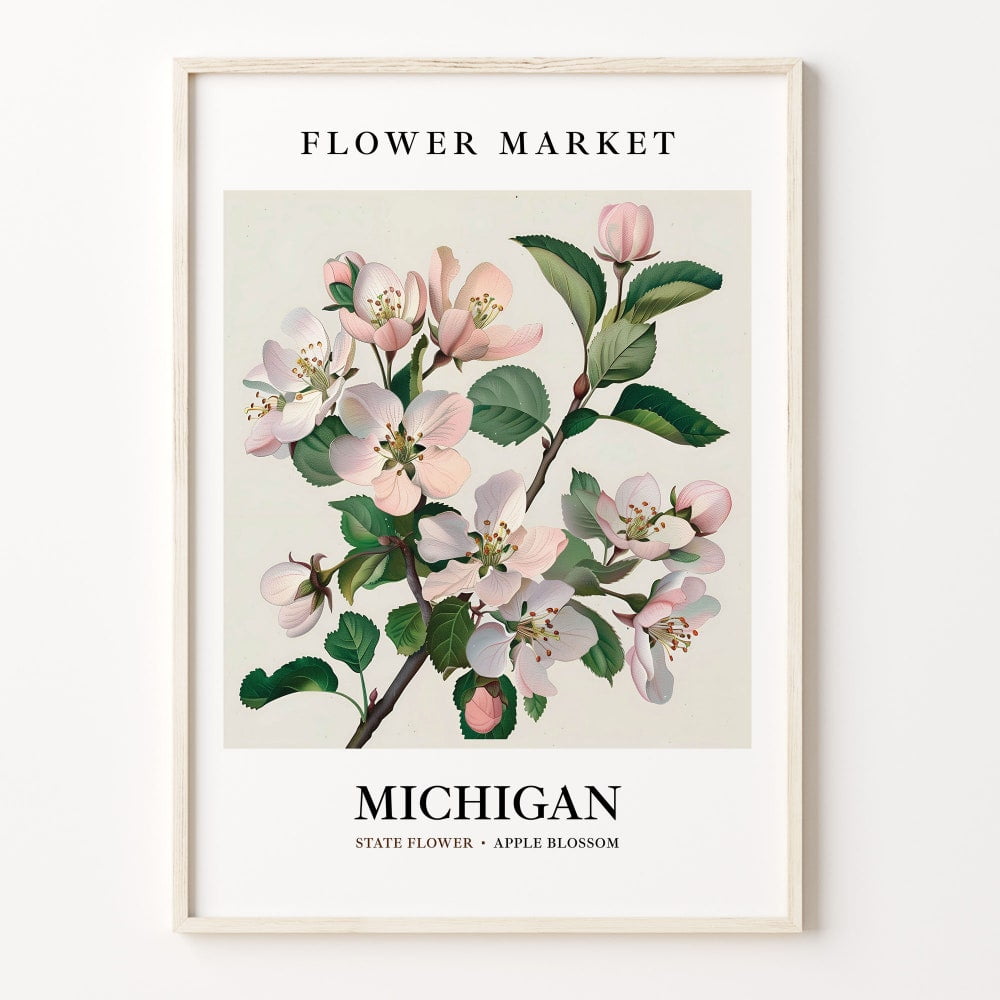 Michigan State Flower Art Print, Apple Blossom 1960S Wall Art, Neutral ...