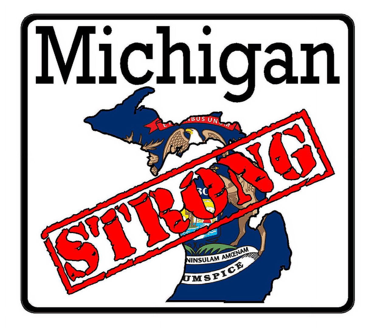 Michigan State (K23) Strong Flag Vinyl Decal Sticker Car/Truck Laptop ...