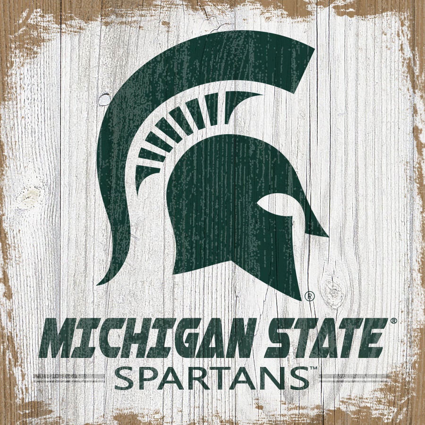 Michigan State Block S