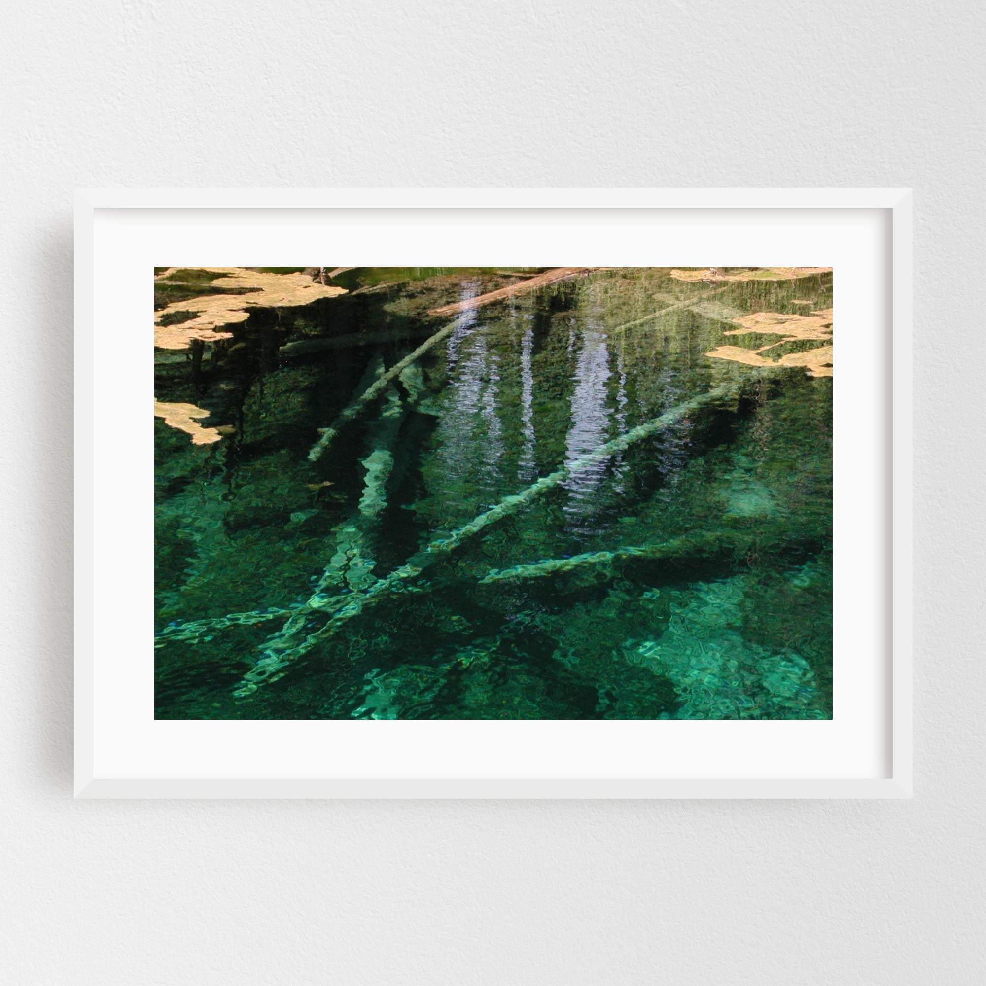 Michigan Submerged Serenity - Photography Lake Water Nature Aquatic ...