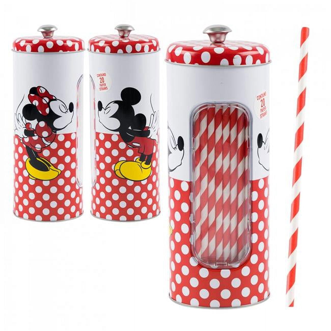 Mickey Mouse 871353 Mickey & Minnie Mouse Straw Holder, White & Red ...
