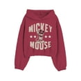 Mickey Mouse Apparel, Girls Graphic Hoodie, Size 4-16 (Girls & Big ...