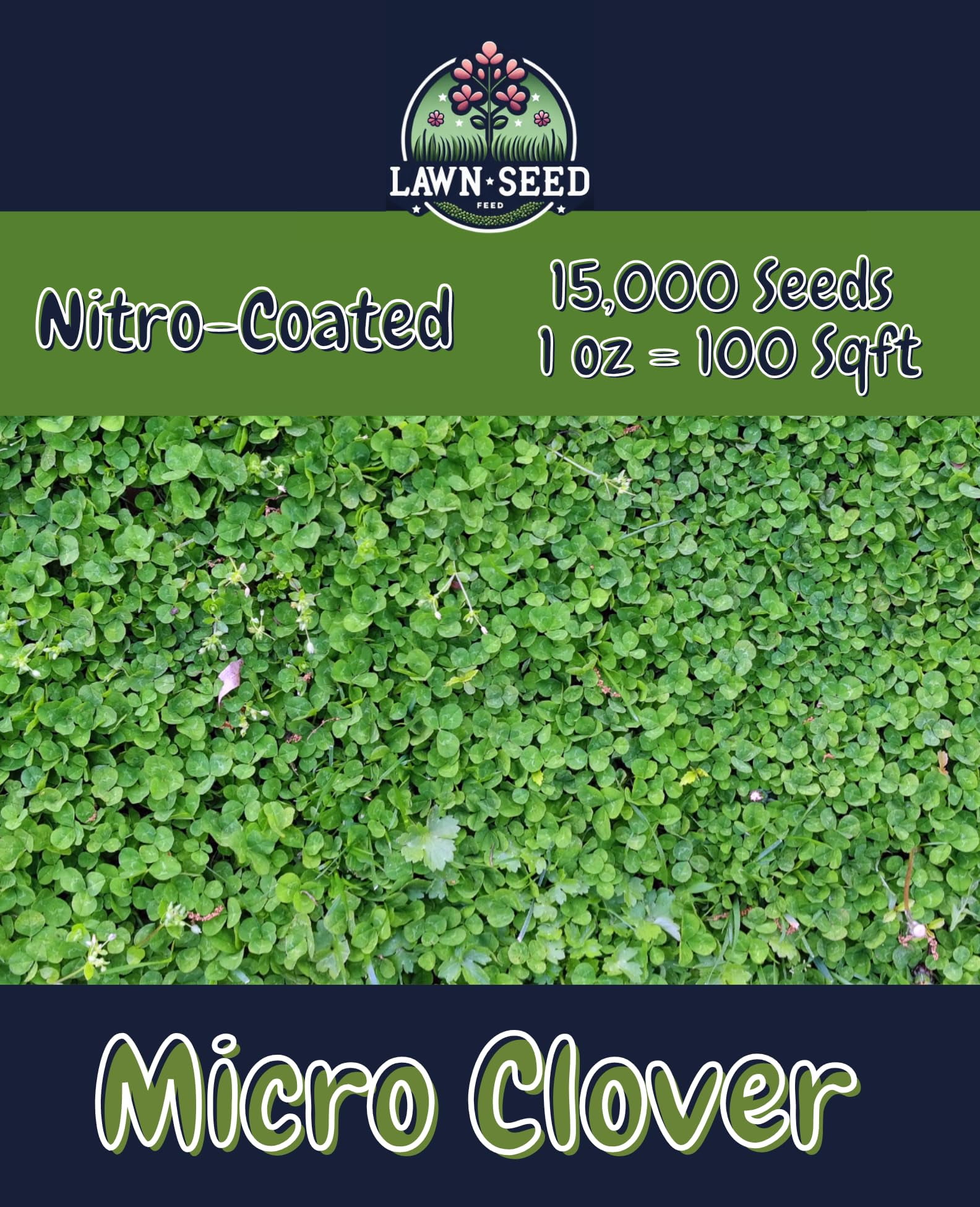 Micro Clover - (1oz) Nitro-Coated, 15,000 MVR1 Total Seed - Covers Up ...