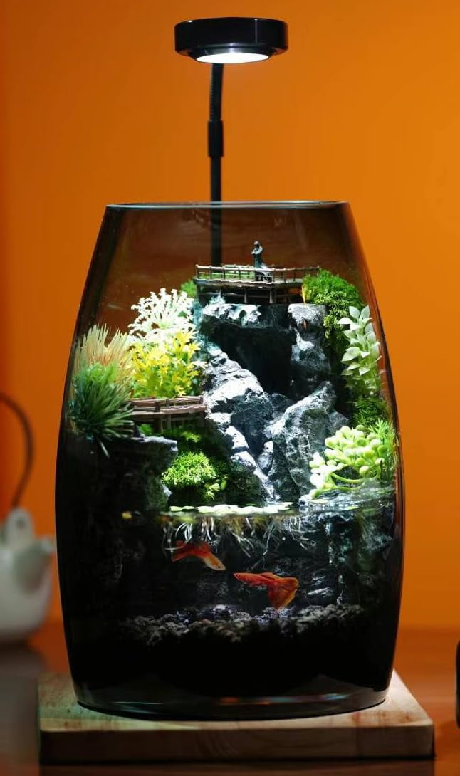 Micro Ecological Bottle Micro Landscape Container Fish Tank Simulation ...
